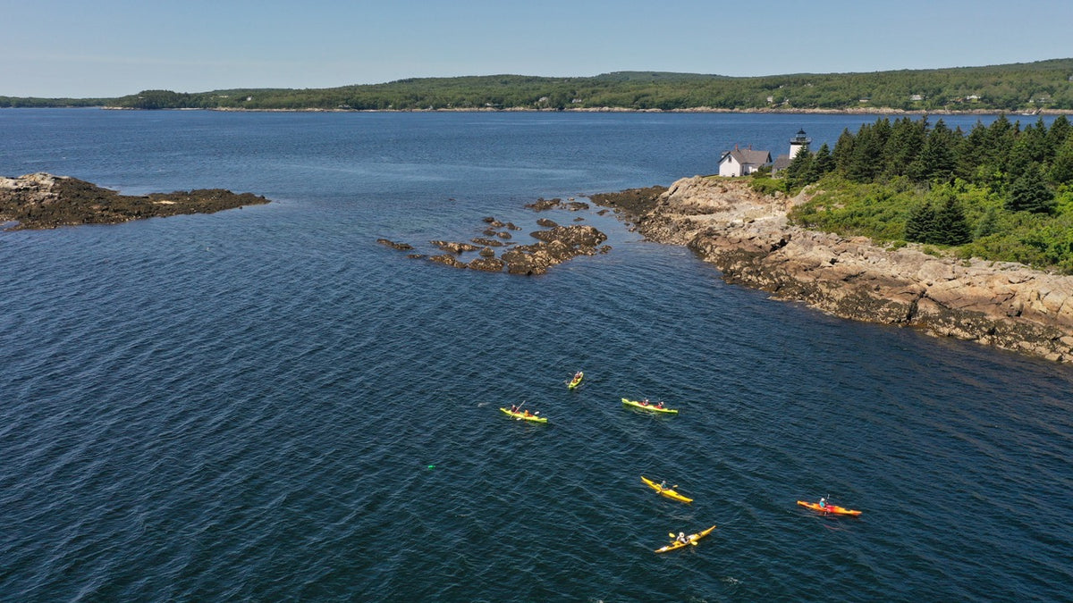 Harbor to Harbor Tour - Maine Sport Outfitters