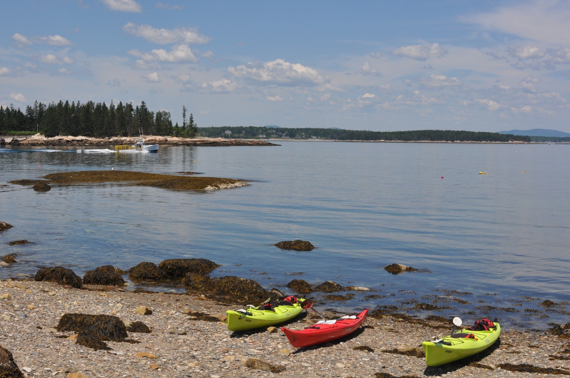 Muscle Ridge Tour Maine - Maine Sport Outfitters