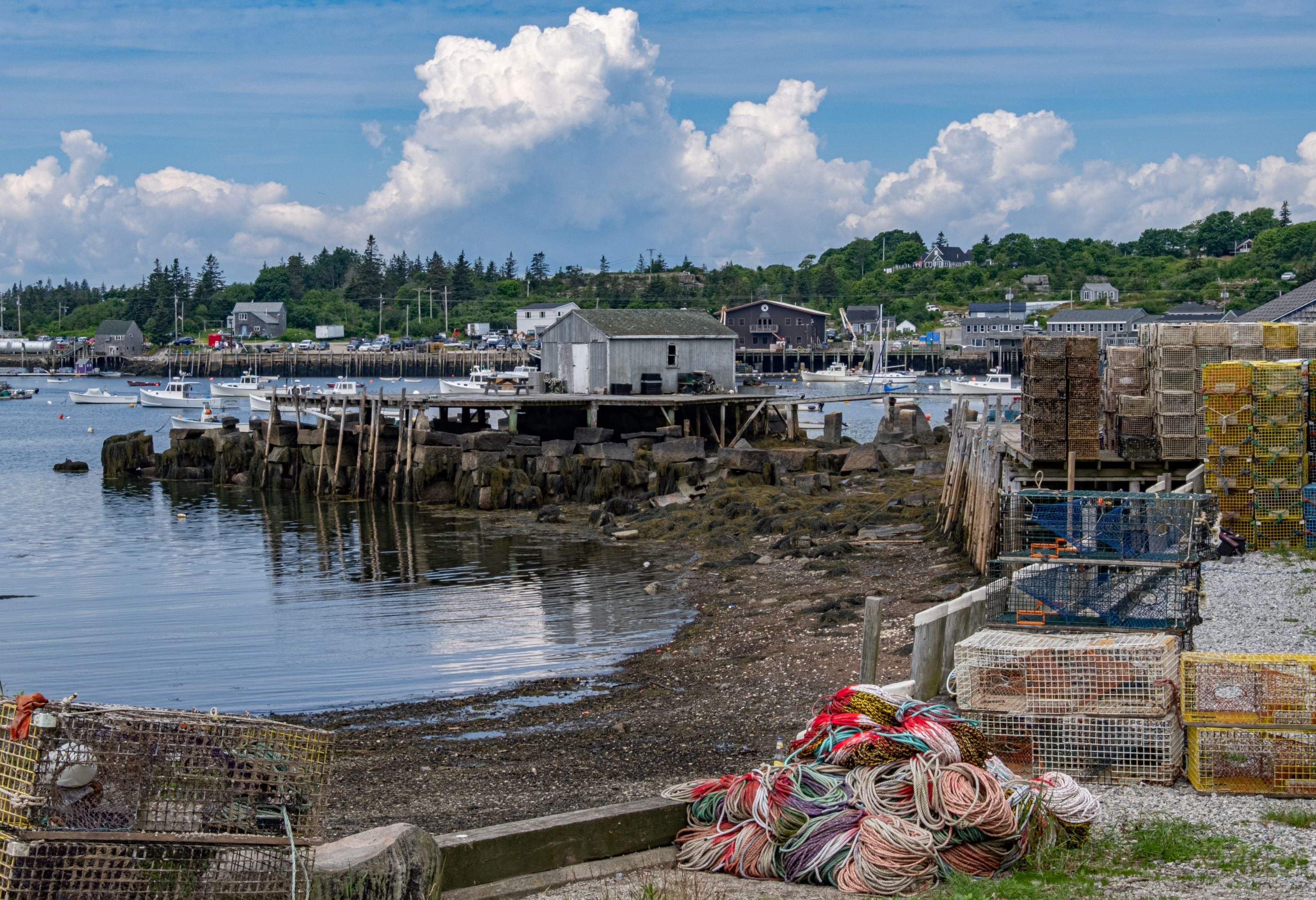 Vinalhaven EBike Tour - Maine Sport Outfitters
